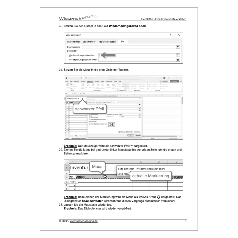 Excel 365 – Eine Inventurliste erstellen – Anleitung – S0457-P - Wissenssprung